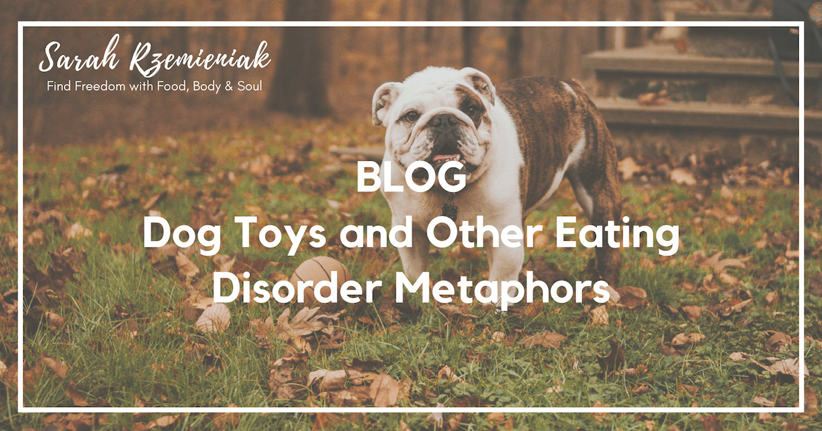 Dog Toys and Other Eating Disorder Metaphors