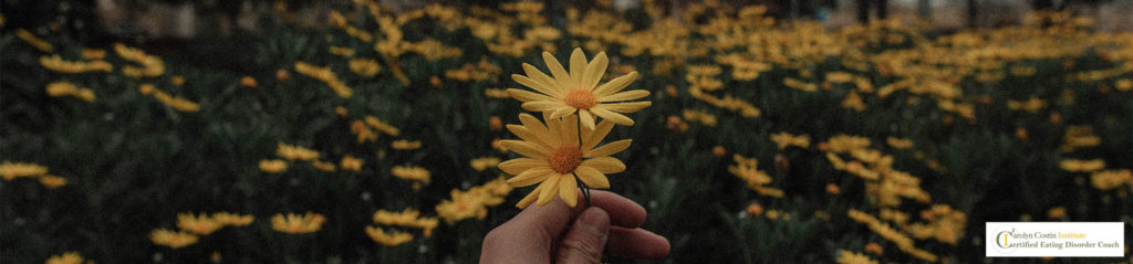 Free Eating Disorder Resources